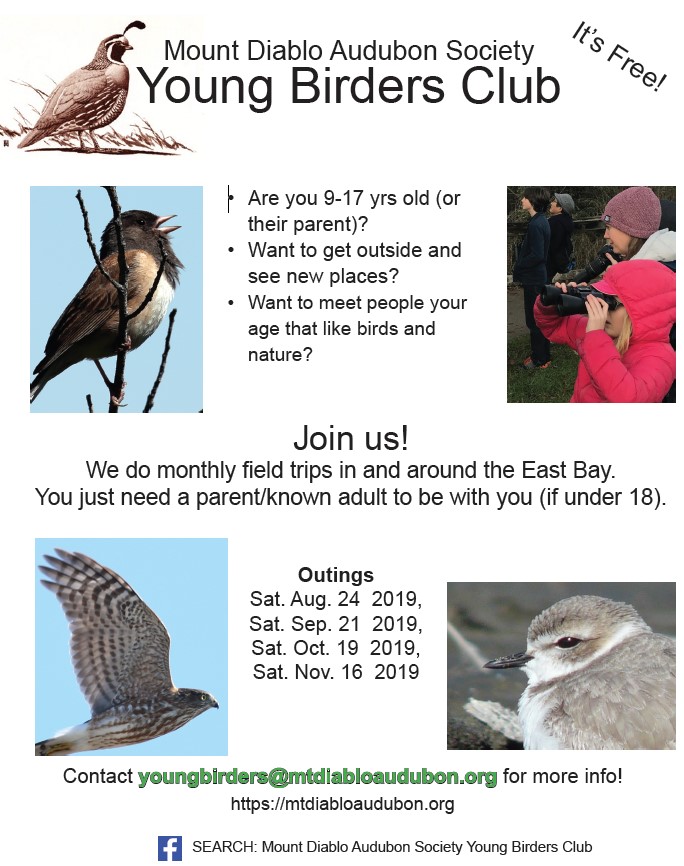 Young Birders - Mount Diablo Bird Alliance